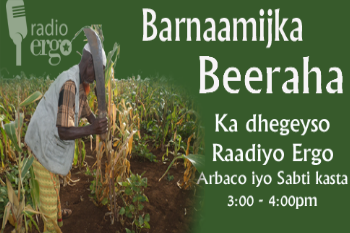 BARNAAMIJKA BEERAHA - Radio Ergo - Somali Humanitarian News and Information
